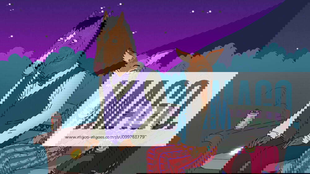 BOJACK HORSEMAN, l-r: Bojack Horseman, (voice: Will Arnett), Charlotte ...