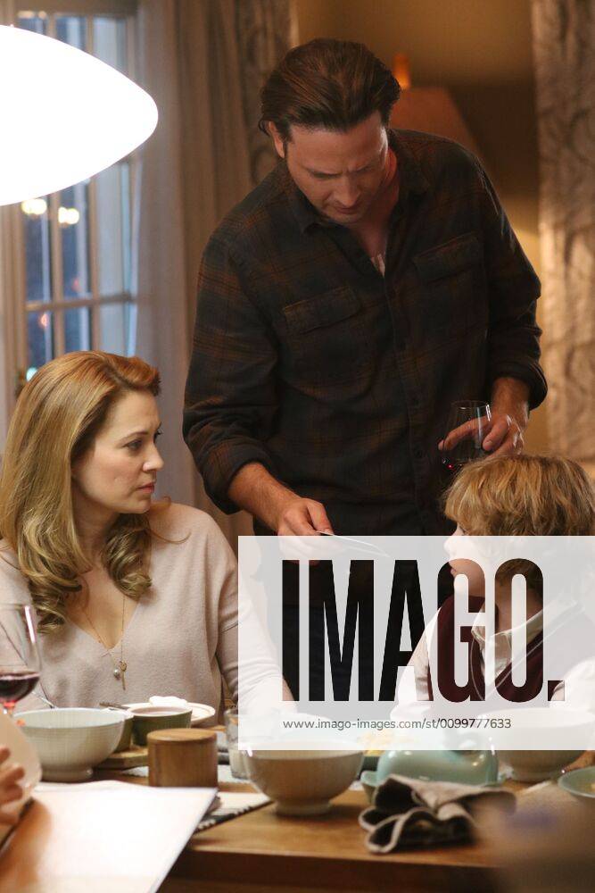 THE DISAPPEARANCE, from left: Camille Sullivan, Aden Young, Michael ...