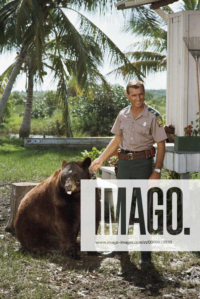 GENTLE BEN, l-r: Gentle Ben, Dennis Weaver, (Season 1), 1967-69 ...