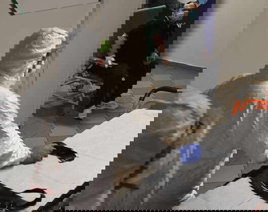 The General Teaching Hospital in Prague released to home care Robert ...