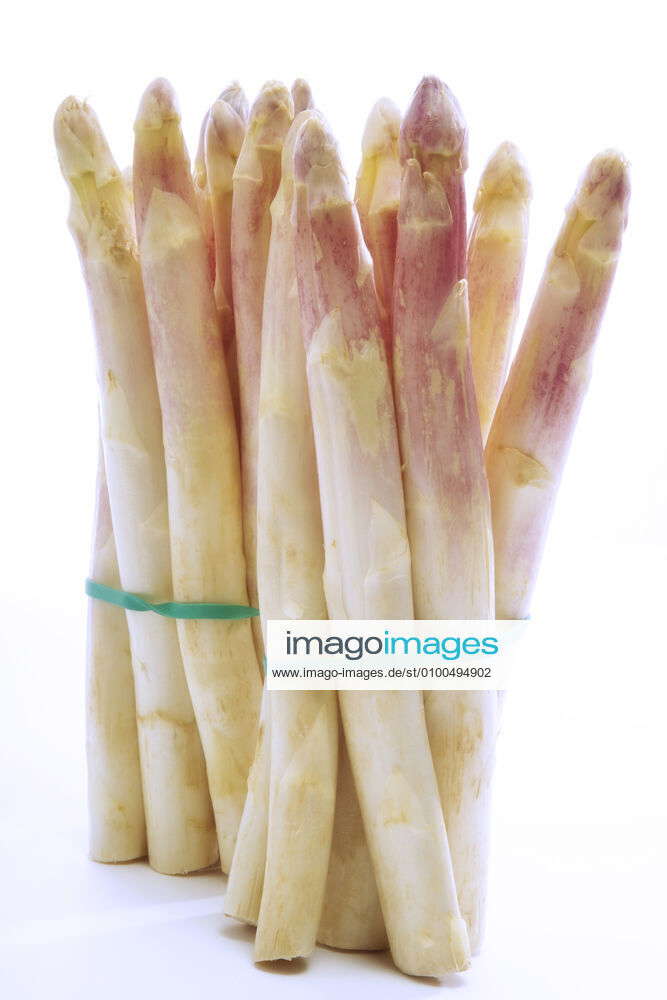 asparagus, white asparagus, asparagus