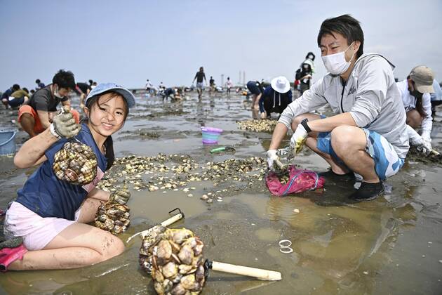 Clam digging in Japan People dig for clams in Futtsu in Chiba ...