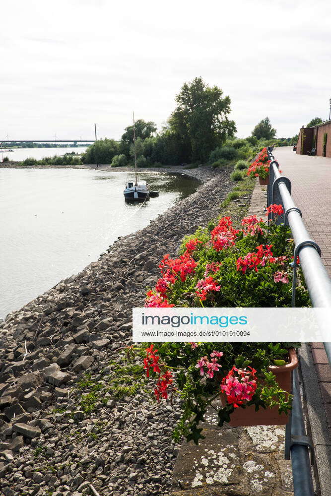 Rees Germany, Promenade on the Rhine with flower boxes Rees North Rhine ...