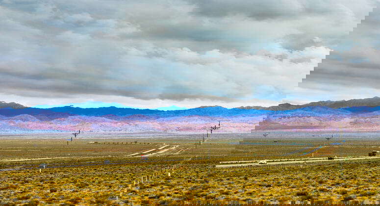 Picture of Da Chai Dan