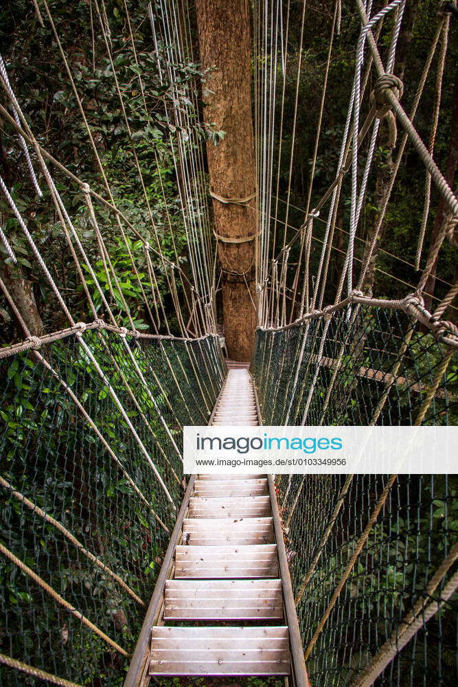 Narrow cable suspension footbridge View along a deserted narrow cable ...