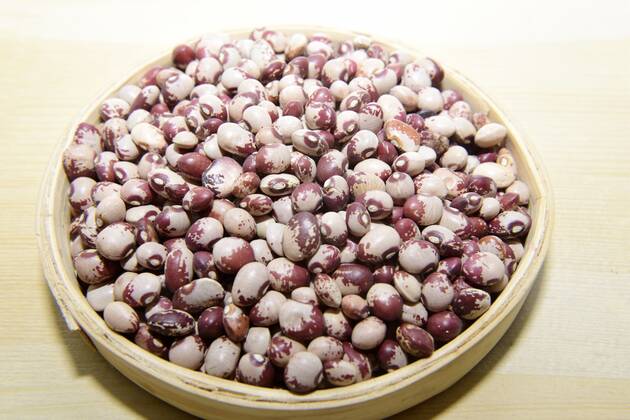 Close-up photography of panda bean