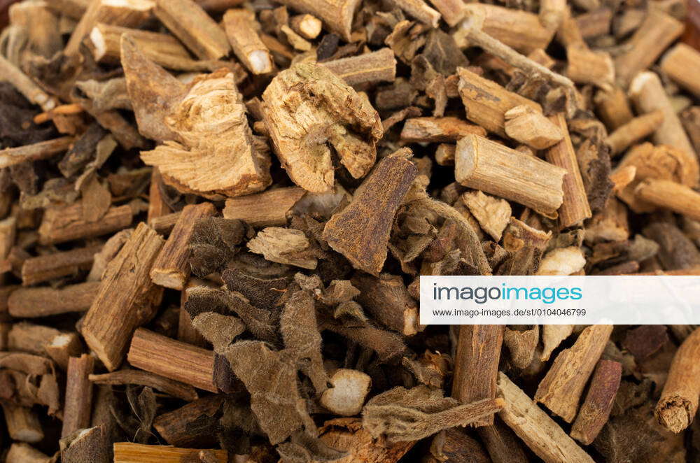 Chinese herbal herbal herbal herbal herb patchouli in China