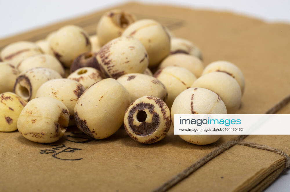 Chinese herbal herb plant herb white lotus seed