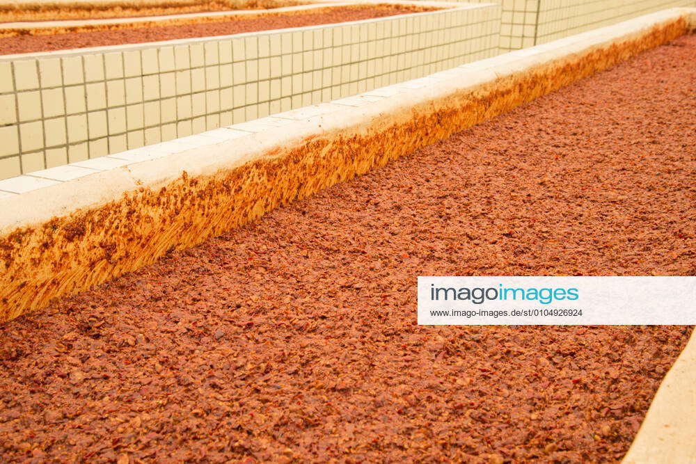 Sichuan traditional Pixian Douban production site