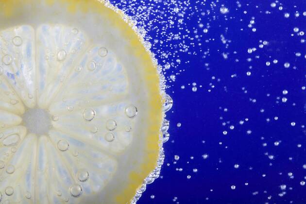 Zitrone (Citrus limon), Zitronenscheibe in Wasser mit Luftblasen lemon ...