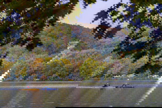 plane tree avenue, path at the Baldeneysee, near Haus Scheppen, in ...