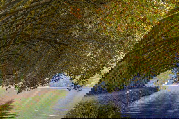 plane tree avenue, path at the Baldeneysee, near Haus Scheppen, in ...