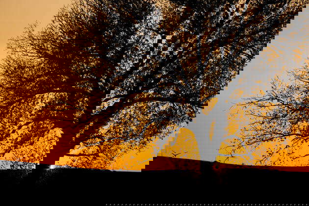 Colourful sunset at Trebur Hessen with a view towards the Rhineland ...