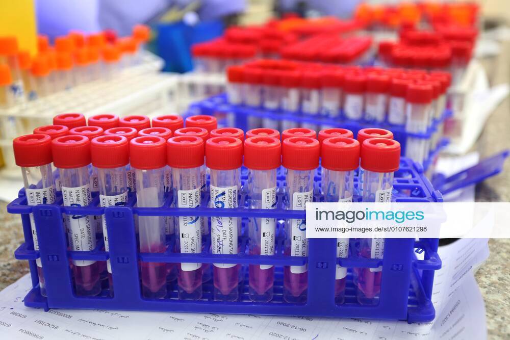 December 7, 2020, Gaza City, Gaza Strip, Palestinian Territory ...