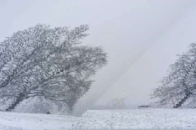 LONDON, UNITED KINGDOM - JANUARY 24, 2021: A snowfall hits Hampstead ...