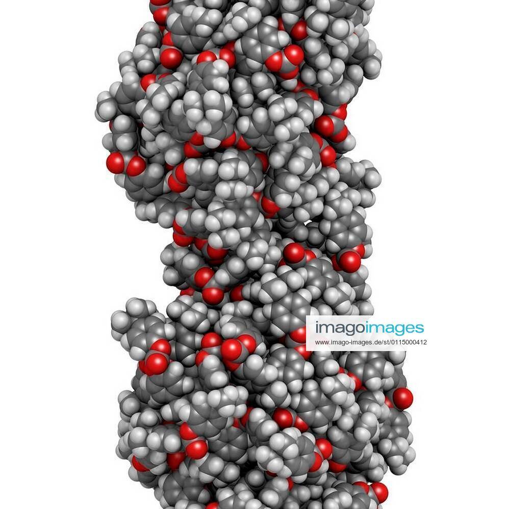 Polycarbonate Chemical Structure