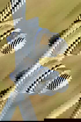 Two screws hold a wire rope A wire rope is held with Two big screws ...