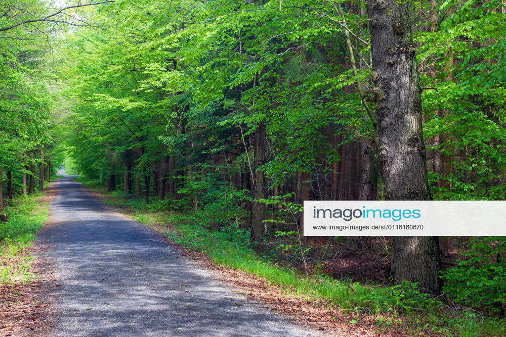 Kamenz East view of the district Kamenz East of the Lessingstadt Kamenz ...