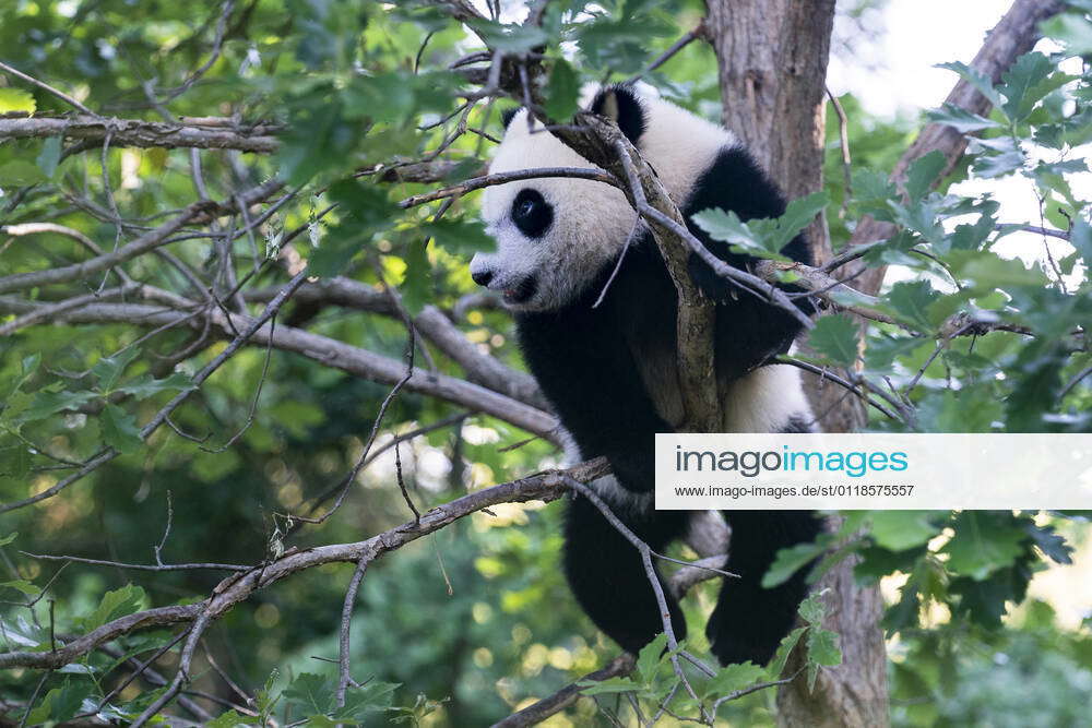 (210520) -- WASHINGTON, D.C., May 20, 2021 -- Photo taken on May 20 ...