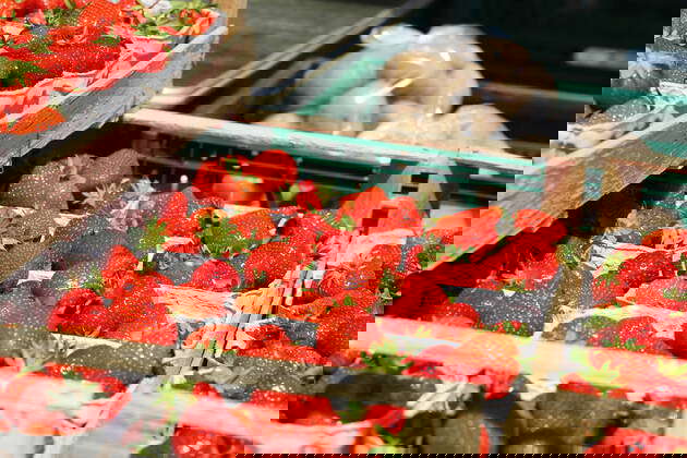 Fresh strawberries from Germany at the market in Mutterstadt