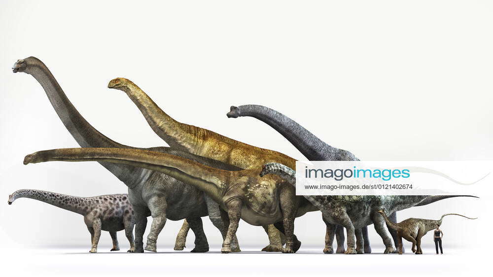 Ultrasaurus Size Comparison