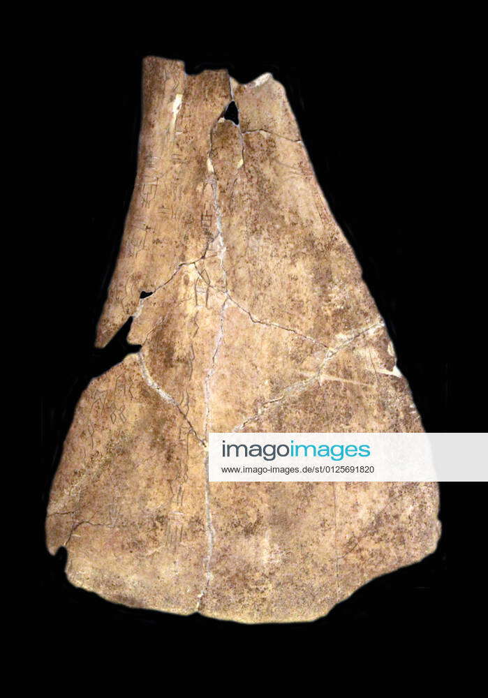 Oracle bone inscriptions are the ancient Chinese characters carved on ...