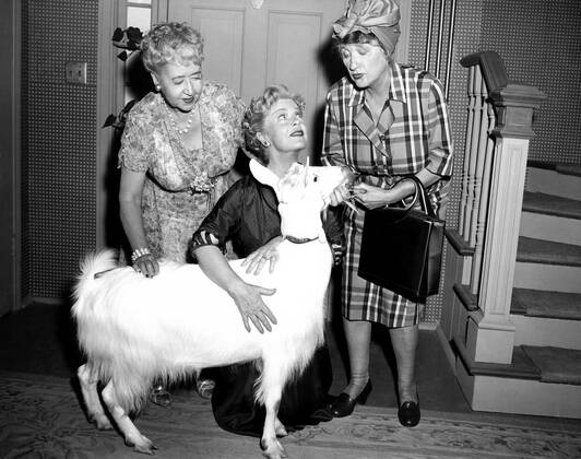 DECEMBER BRIDE, from left, Verna Felton, Spring Byington, 1954-59TBDDEBR