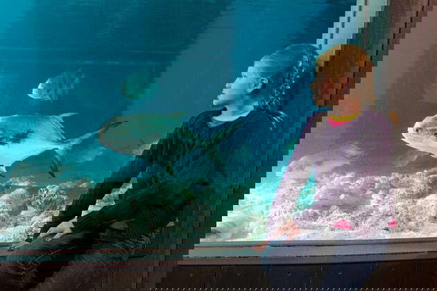 Young girl age 6 looking fancinated at fish tank in her home McPBBA