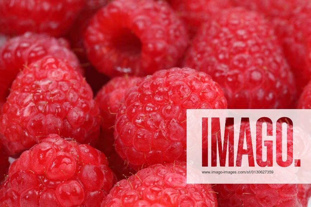 Sweet raspberry closeup