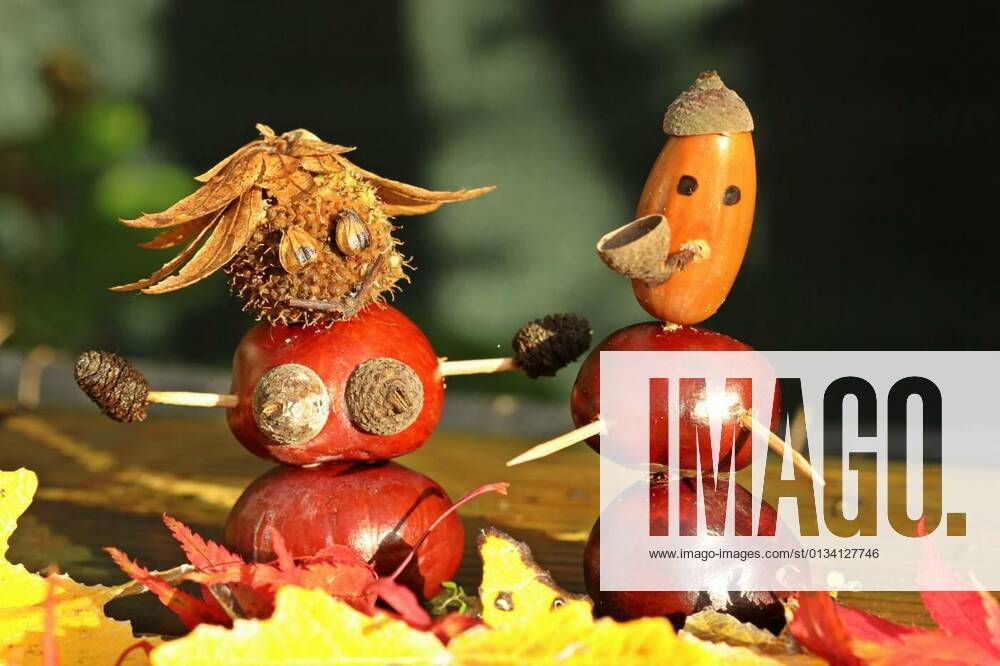 Chestnut woman and chestnut man