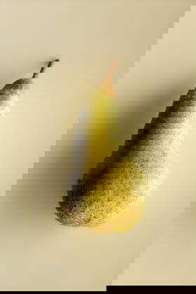 pear, pip fruit, pears, pip fruits