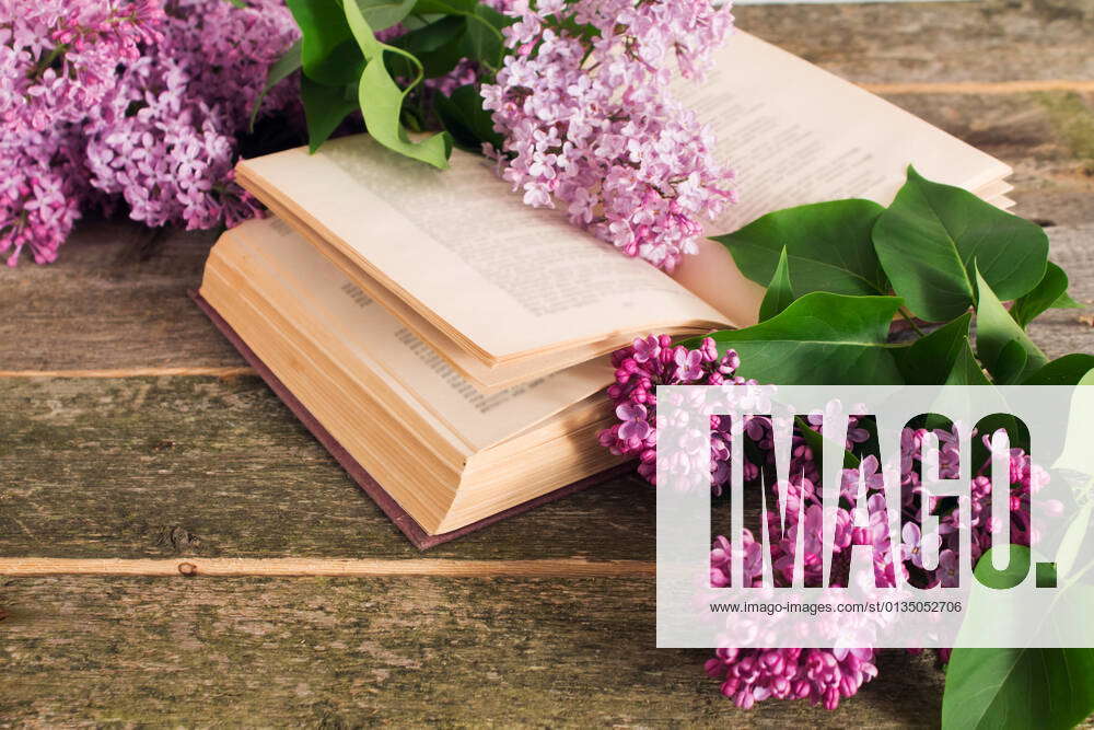 lilac, book, novel, lilacs, books, novels