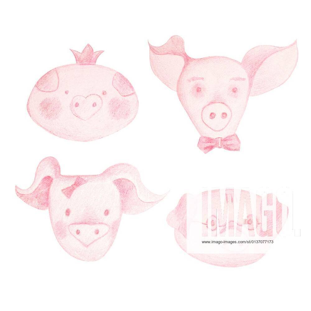Cute aerial cartoon jumping piglets. Illustration with 6 piglets ...