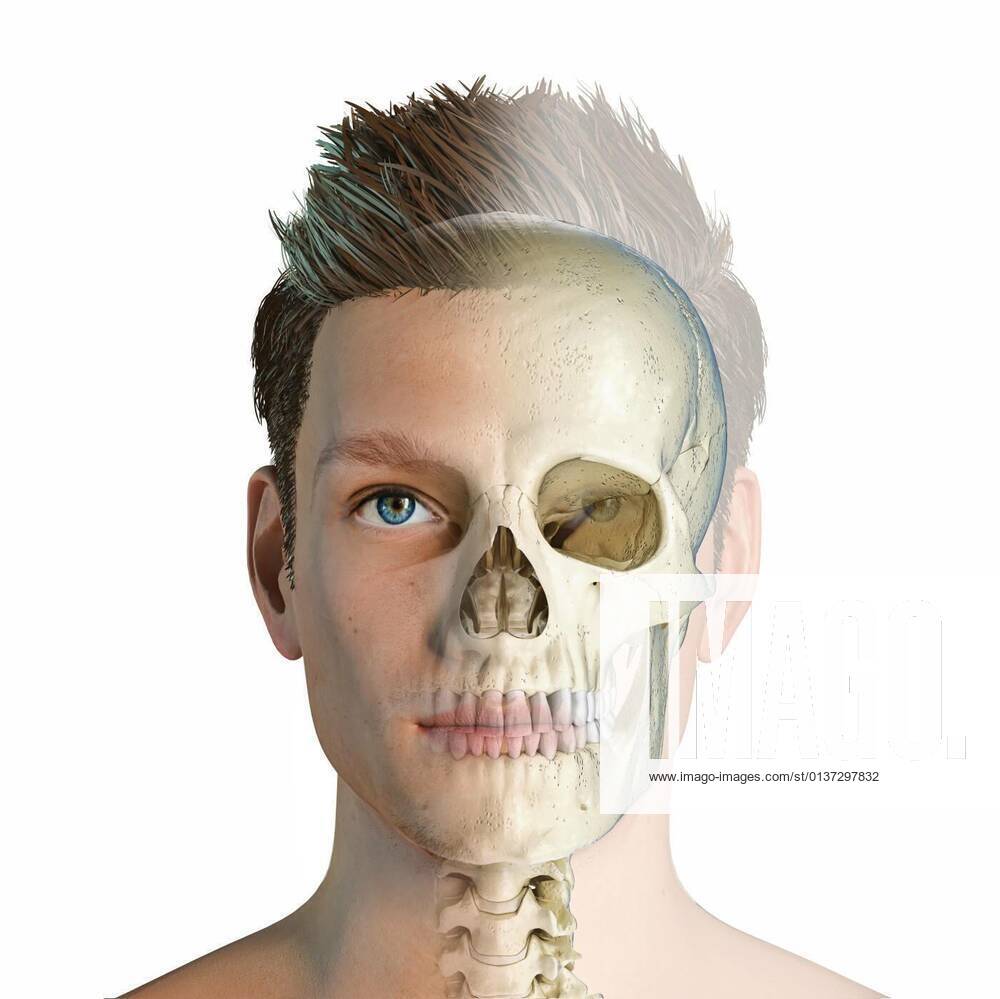 Man head with skull in ghost effect