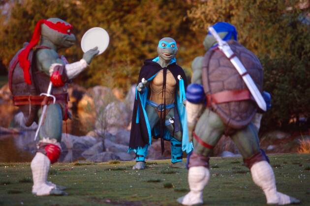 NINJA TURTLES: THE NEXT MUTATION, Leonardo, Venus De Milo, Raphael ...