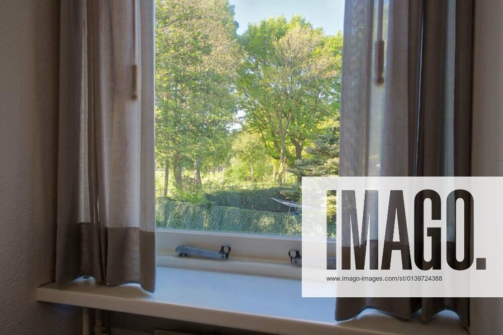 Beautiful green window view with grey curtains in the summer, looking ...