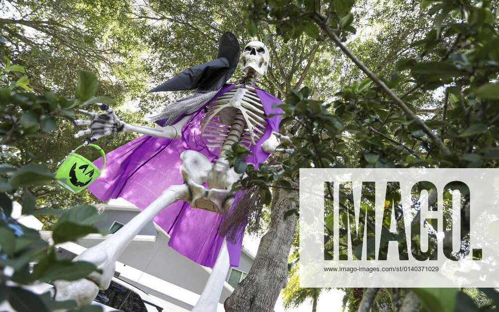 October 27, 2021, Dunedin, Florida, USA: A giant skeleton is seen ...