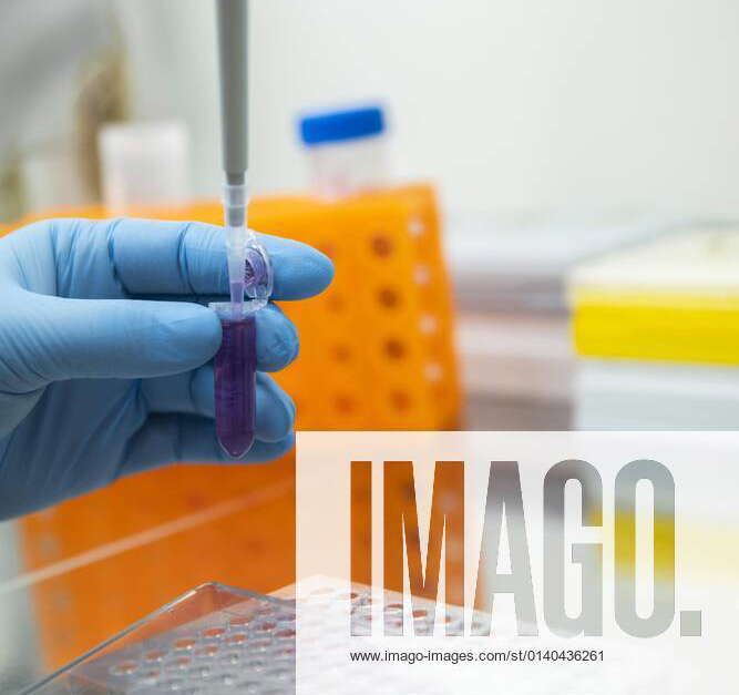 Medical Laboratory Assistant Takes Samples From A Reaction Vessel And medical-laboratory-assistant-takes-samples-from-a-reaction-vessel-and