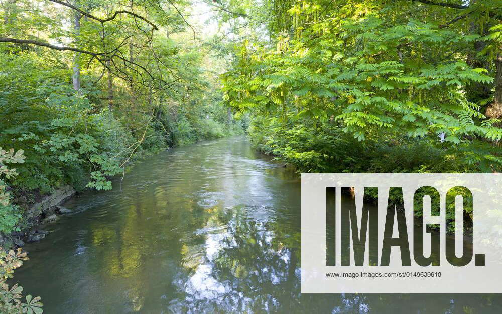Fluss Ilm mit Ufervegetation, Park an der Ilm, Weimar, Thüringen ...