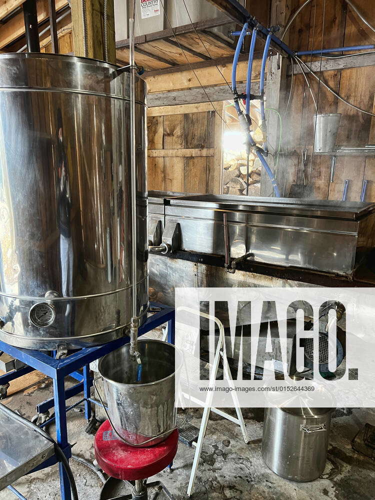 Maple Syrup Production In Canada Bottler and evaporator machine in the ...