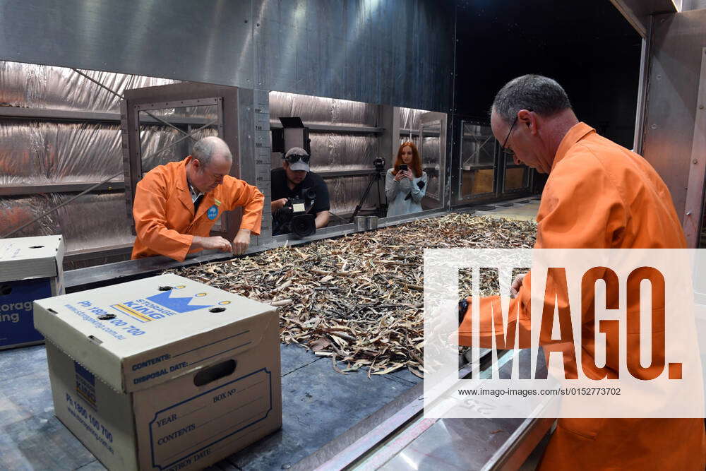 CSIRO BUSHFIRE LAB, Commonwealth Scientific and Industrial Research ...