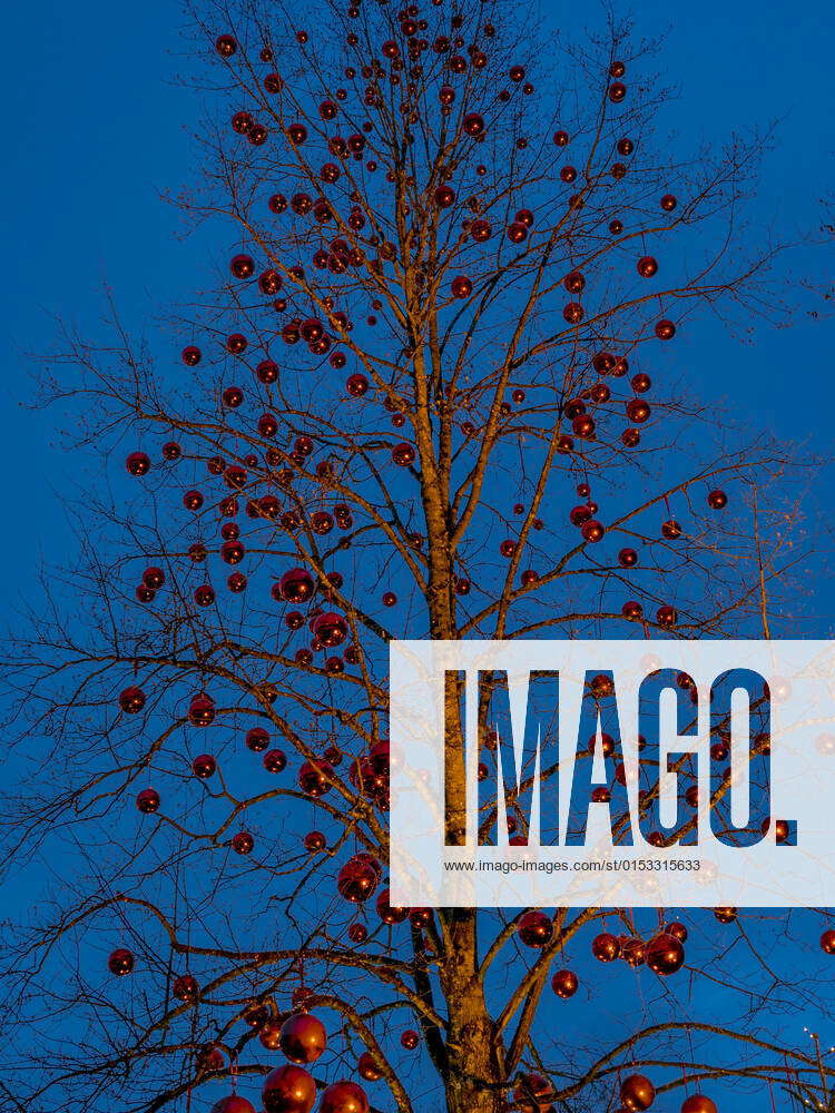 Tree with big red balls, Christkindlmark Hellbrunn Palace, Hellbrunner ...
