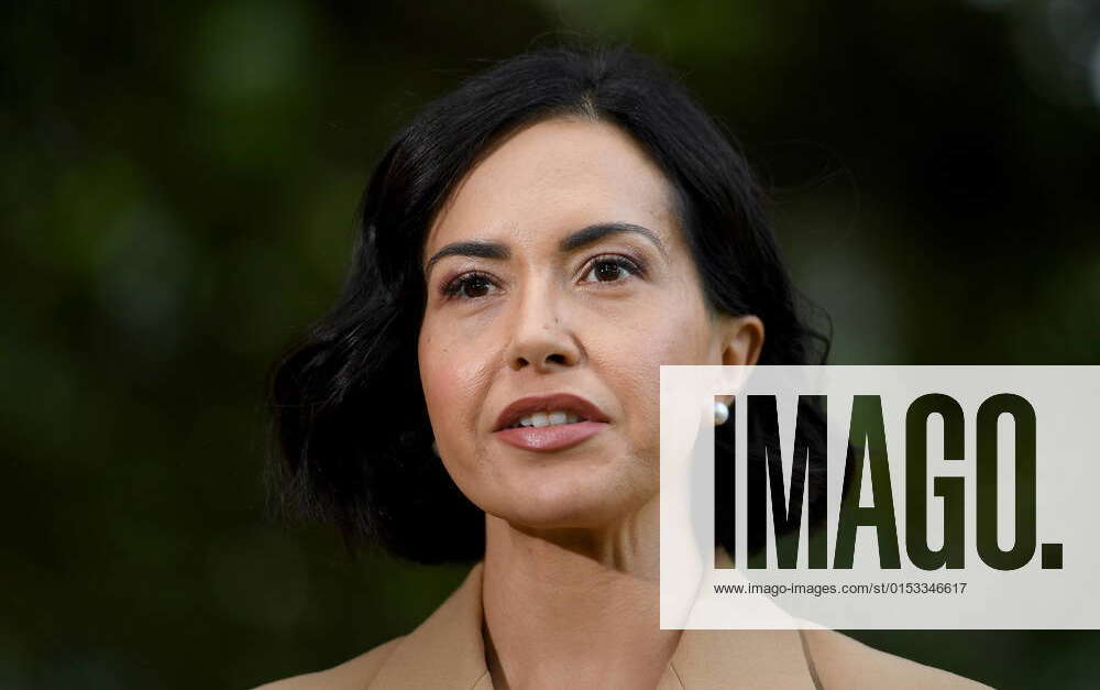 PRUE CAR PRESSER, NSW Labor Deputy Leader Prue Car addresses media ...