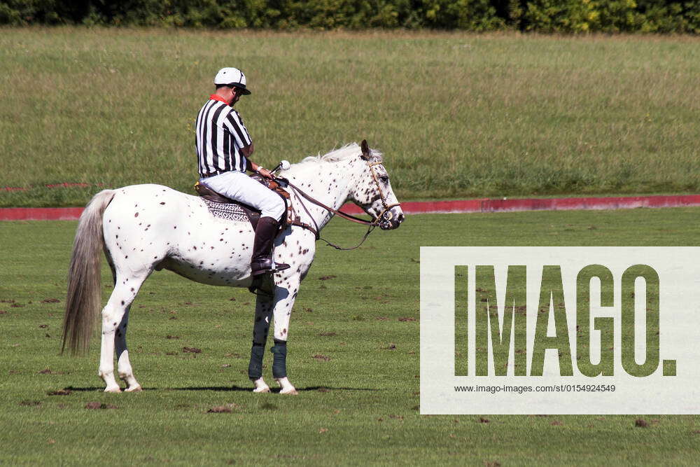Polo referee on pony waits for the game to start , 6389070, action ...
