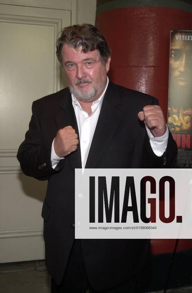 Walter Hill at the premiere of Miramax Films Undisputed at Mann ...