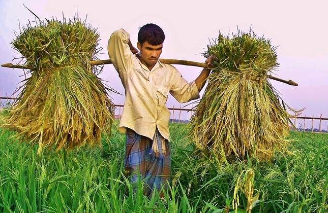 Harvest Festival in Dhaka The word Nobanno is a combination of nobo and ...