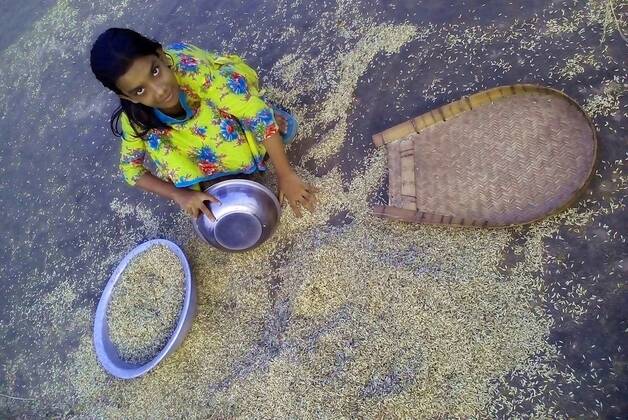 Harvest Festival in Dhaka The word Nobanno is a combination of nobo and ...