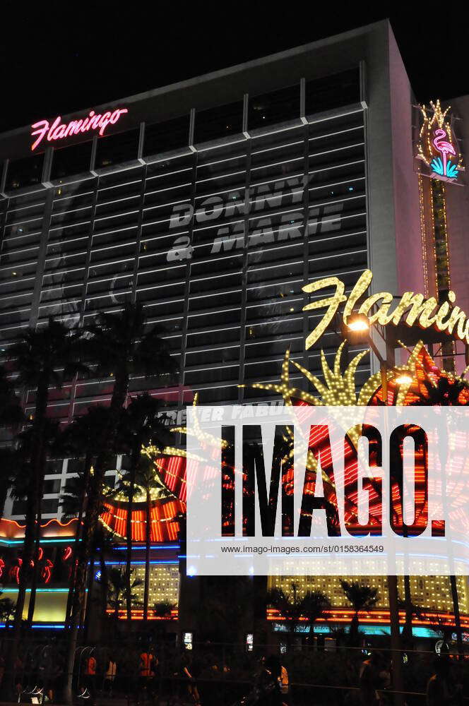 Flamingo Hotel and Casino in Las Vegas, Nevada , 14548214, adult ...