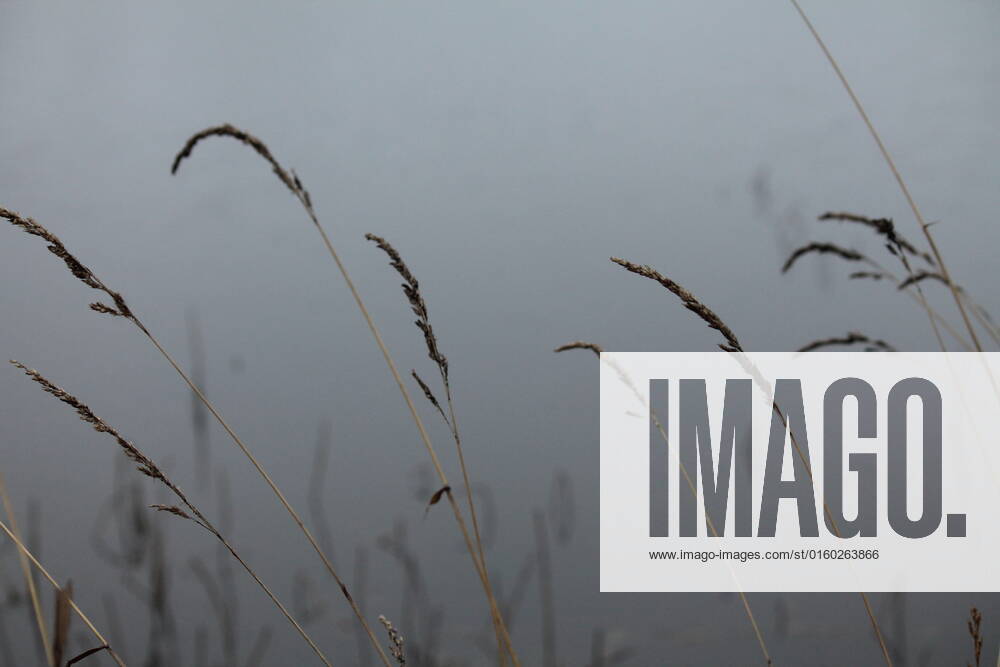 Multiple Straw in fog , 20523718, Sad, lonely, grief, sorrow, funeral ...