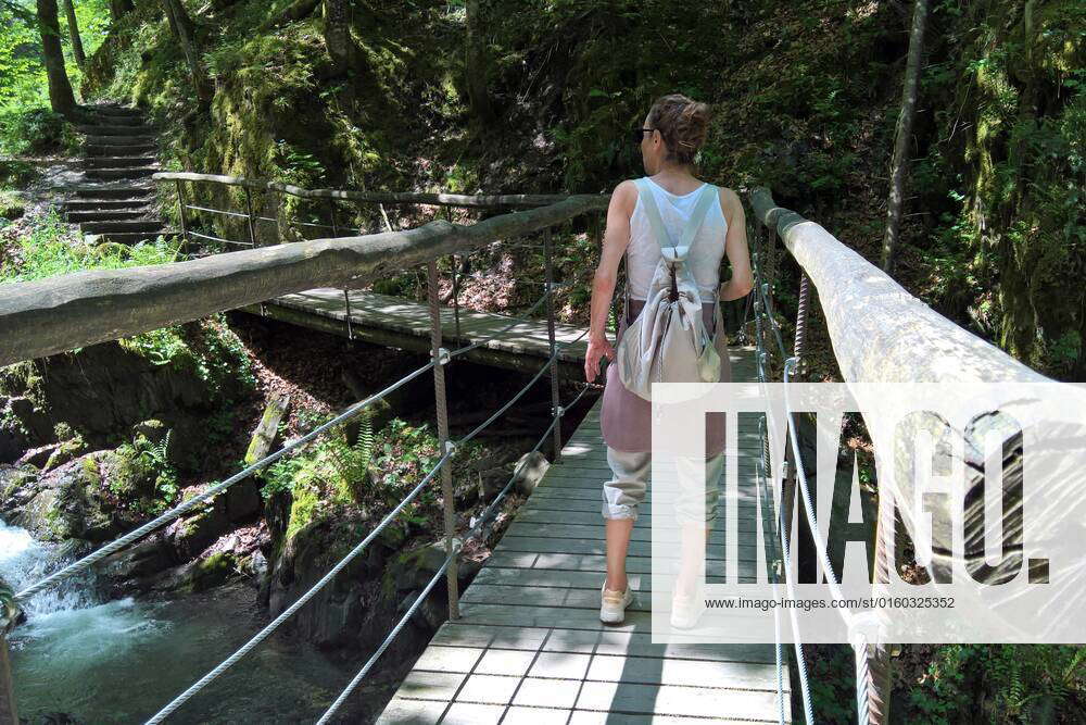 Vacation, hiking, mountain hiking, forest, gorge in Tyrol